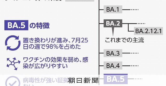 【そもそも解説】オミクロン株のBA.5系統、特徴は？ワクチンは？：朝日新聞