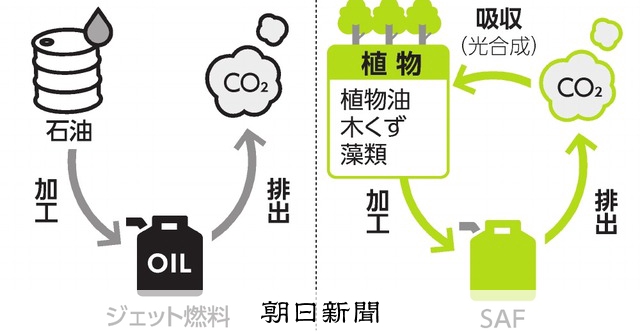 （いちからわかる！）持続可能な航空燃料「SAF」って？：朝日新聞