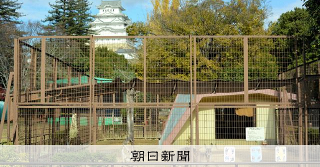 Bokep viral bocil 2025