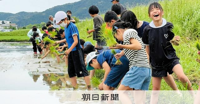 「きれいな四万十川をずっと」 高知の小学生が環境に優しい田植え [高知県]：朝日新聞